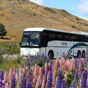 New Zealand's Premier Coach Operator | Pacific Tourways